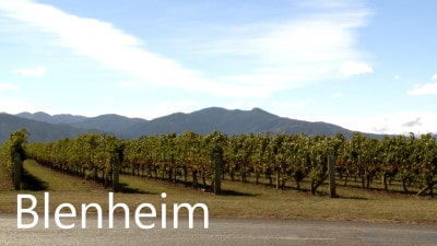 Things To Do in Blenheim | See and Do NZ