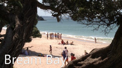 Things To Do in Bream Bay | See and Do NZ.