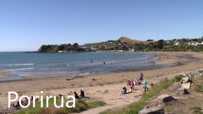 Things To Do in Porirua | See and Do NZ.