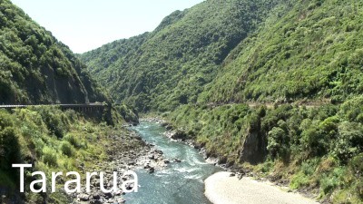 Things To Do in Tararua, Eketahuna, Dannevirke | See and Do NZ