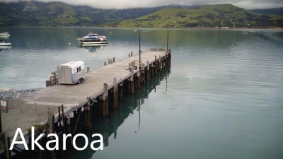 Things To Do in Akaroa | See and Do NZ