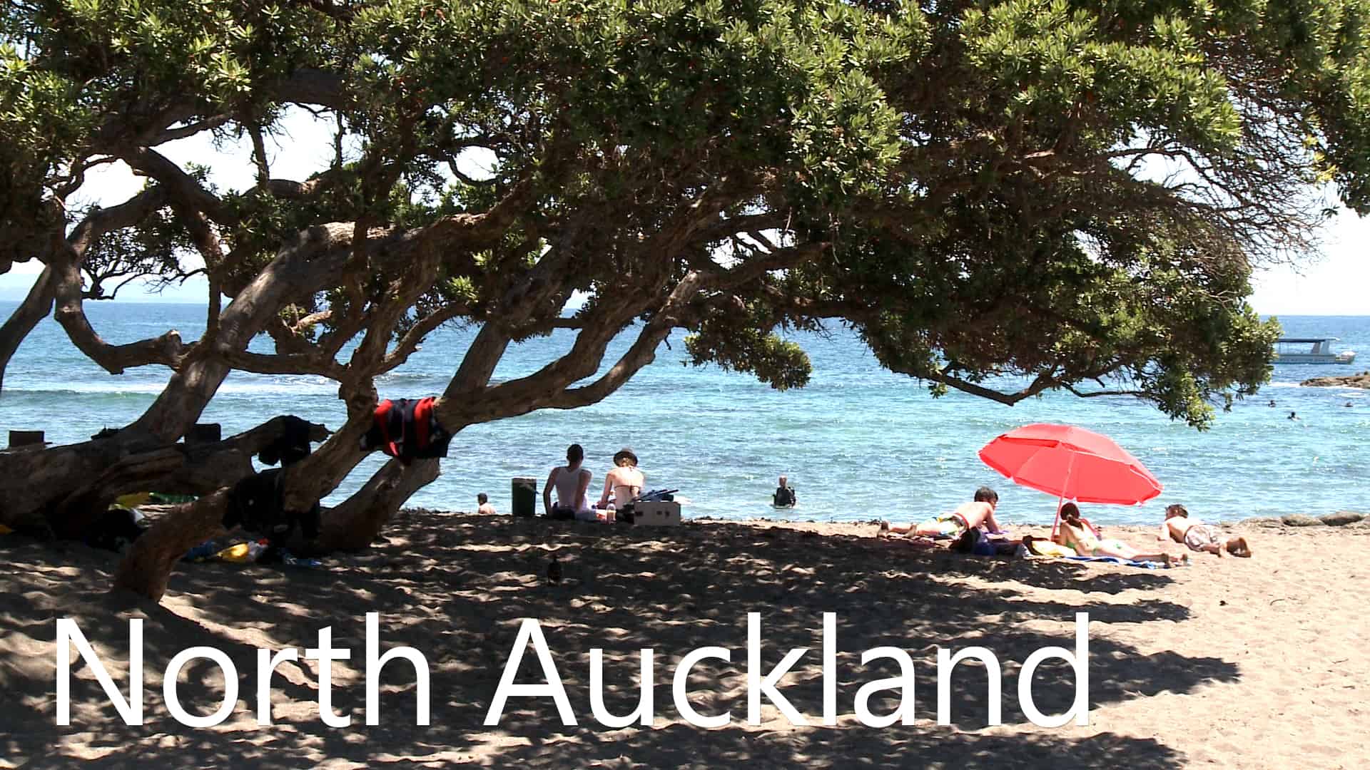 Things To Do in North Auckland | See and Do NZ