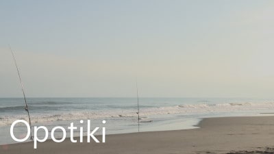 Things To Do in Opotiki | See and Do NZ