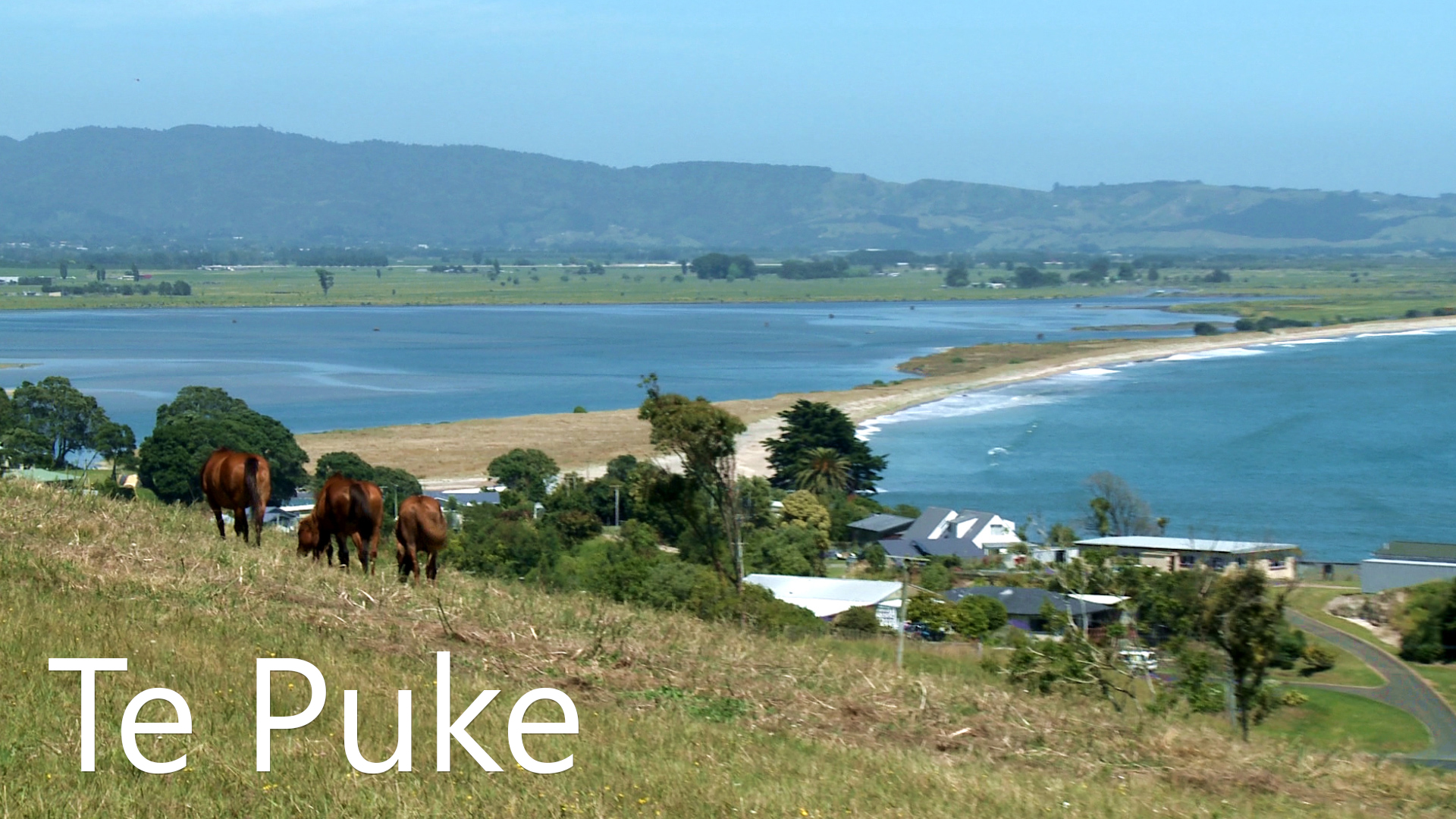 Best things to see and do in Te Puke | See and Do NZ.