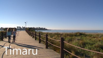 Things To Do in Timaru | See and Do NZ