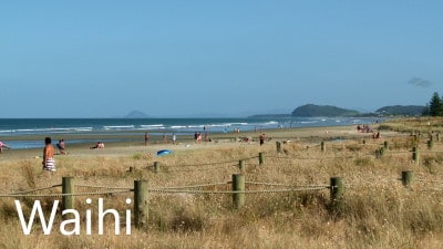 Things To Do in Waihi | See and Do NZ