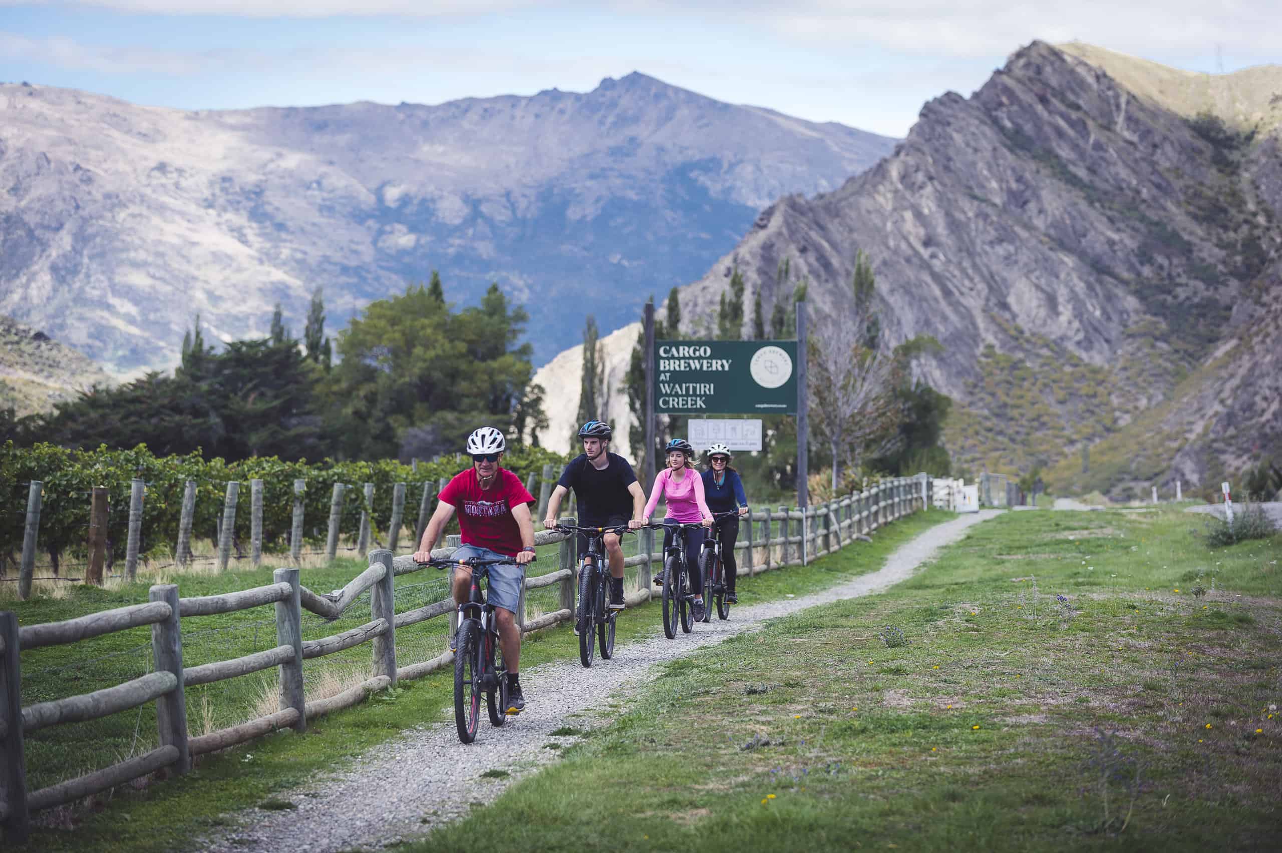 Bike The Wineries Full Day | See and Do New Zealand