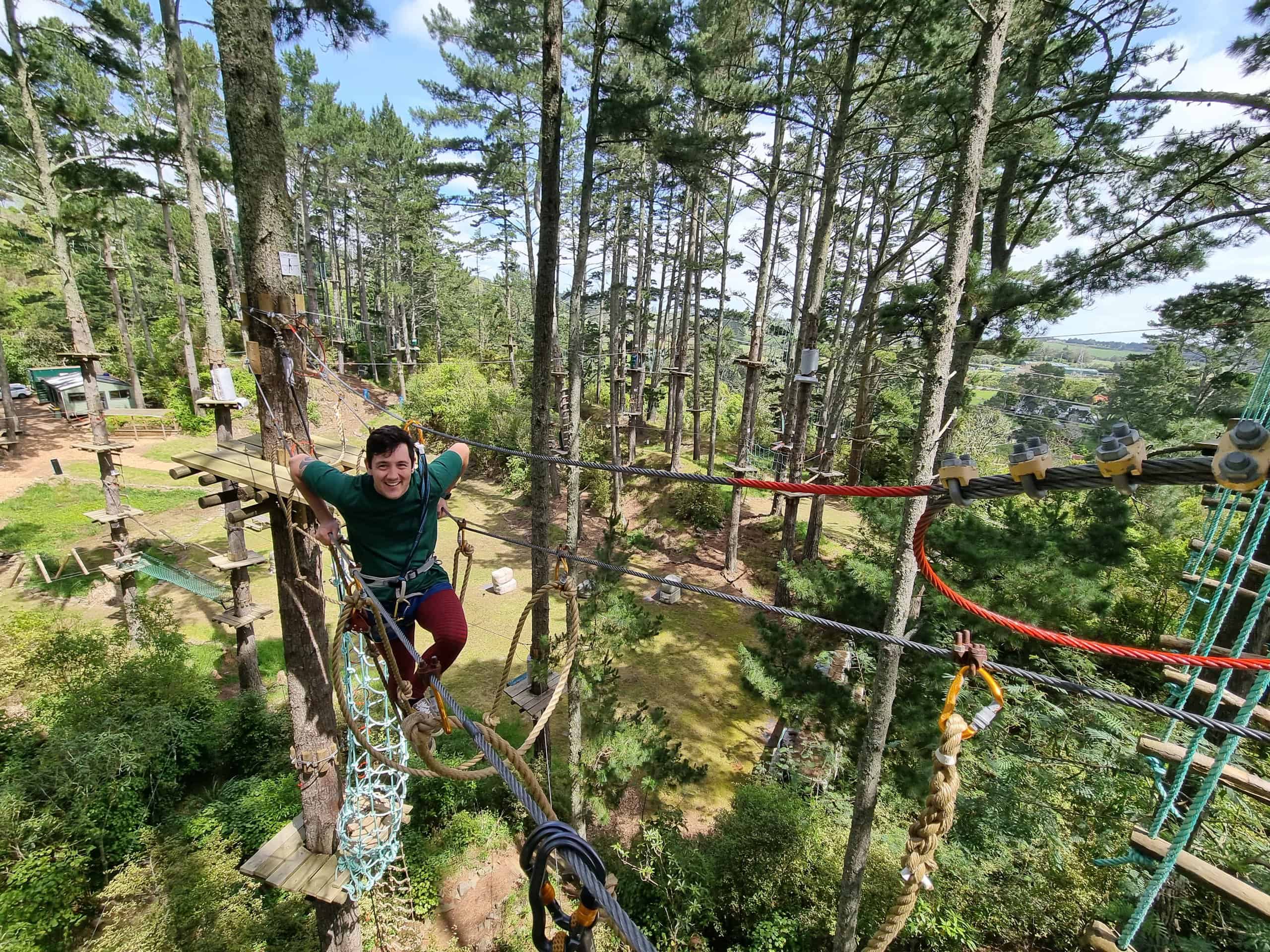 3 hour tour to Adrenalin Forest | See and Do NZ