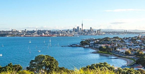 Auckland City Discovery Tour | See and Do NZ