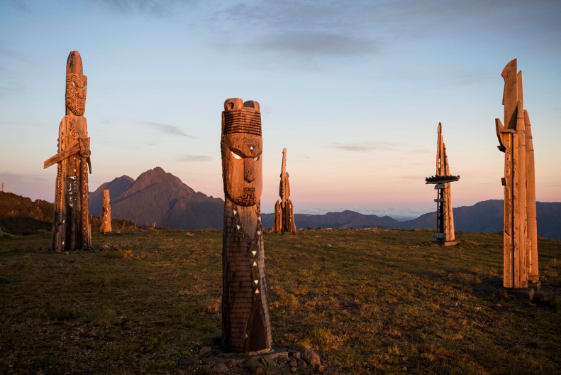 Enjoy Haramai Day Tour | See and Do New Zealand