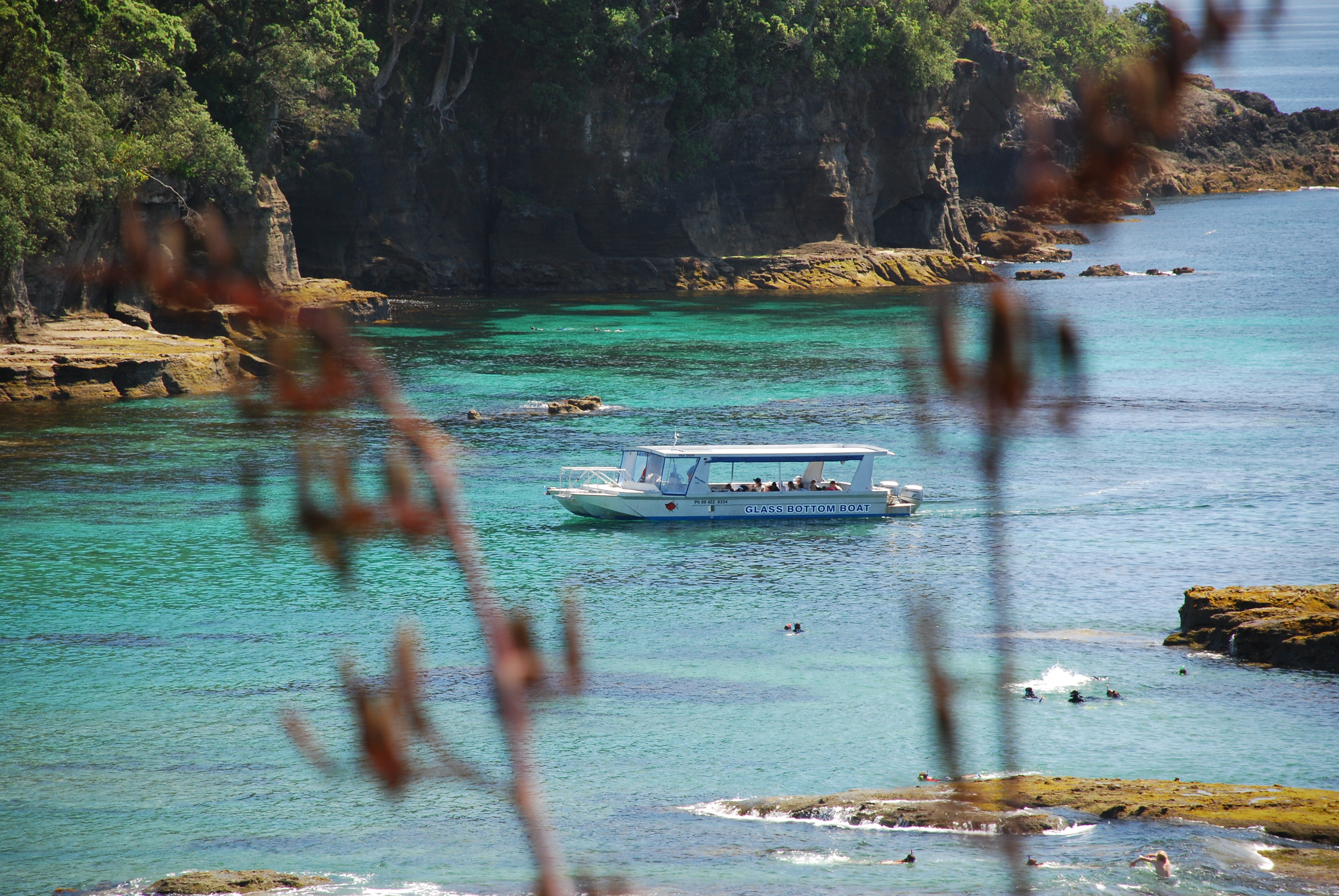 Enjoy Glass Bottom Boat Tour | See and Do NZ