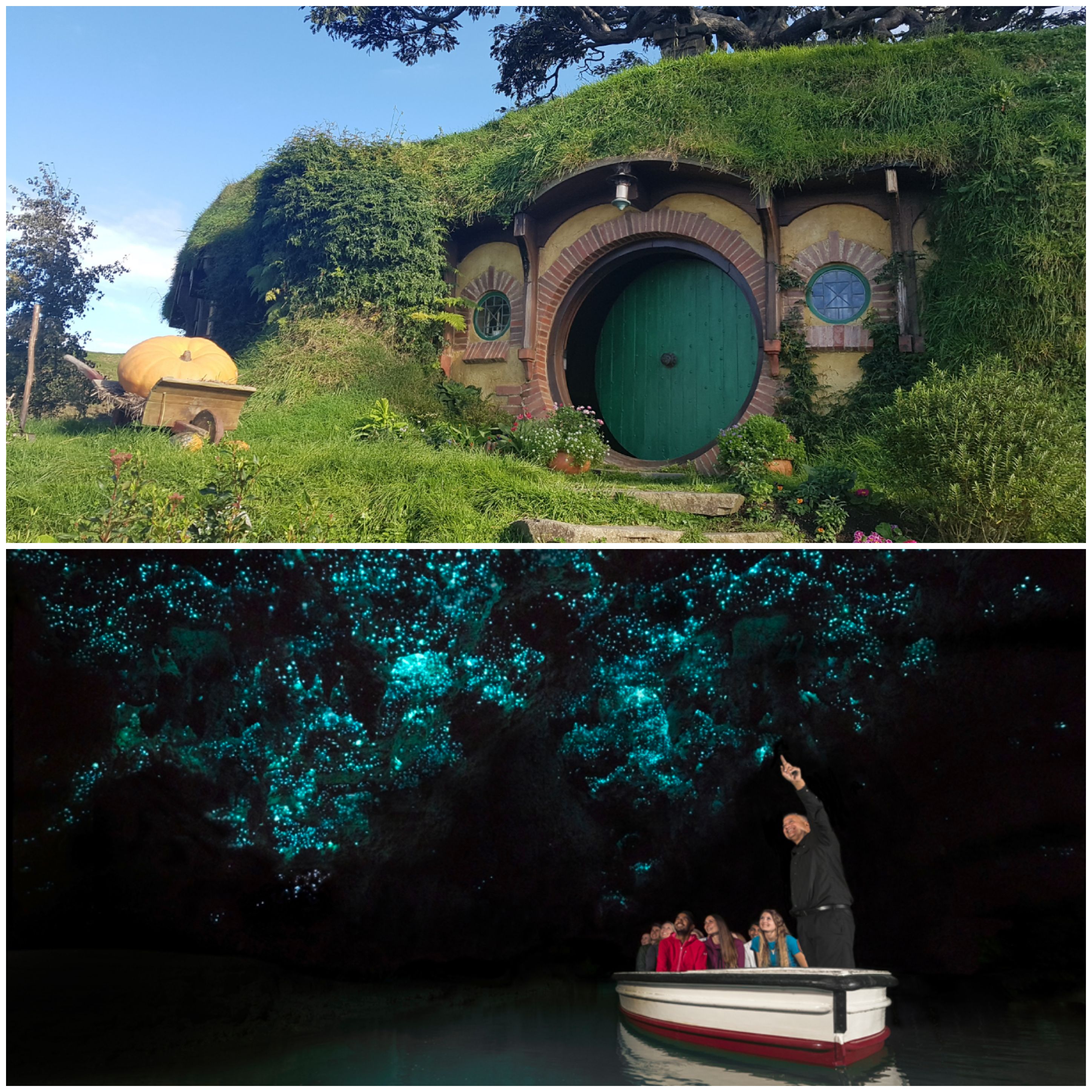 Hobbiton and Waitomo Caves | See and Do NZ