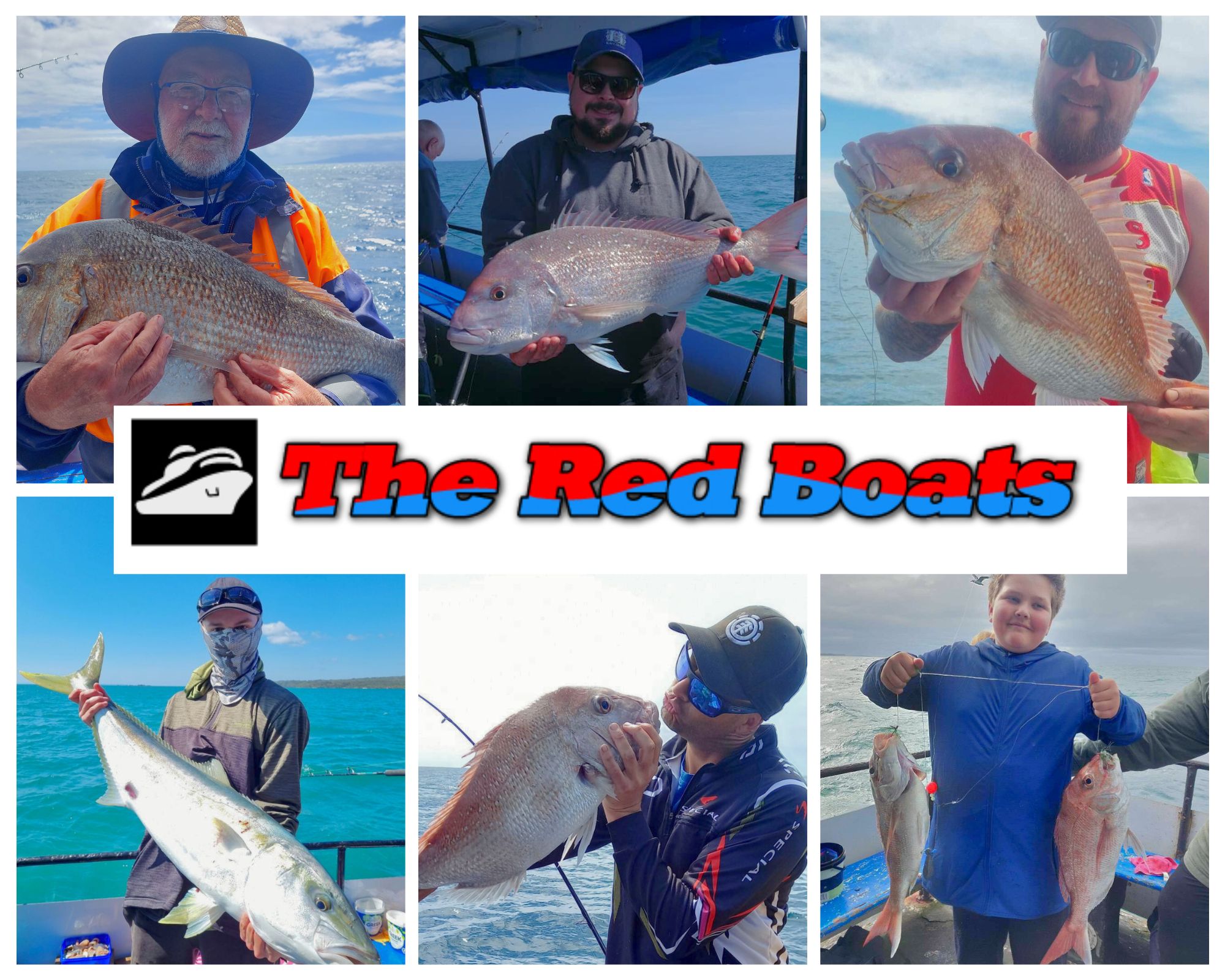 Individual Full Day Fishing on Auckland Harbou | See and Do New Zealand