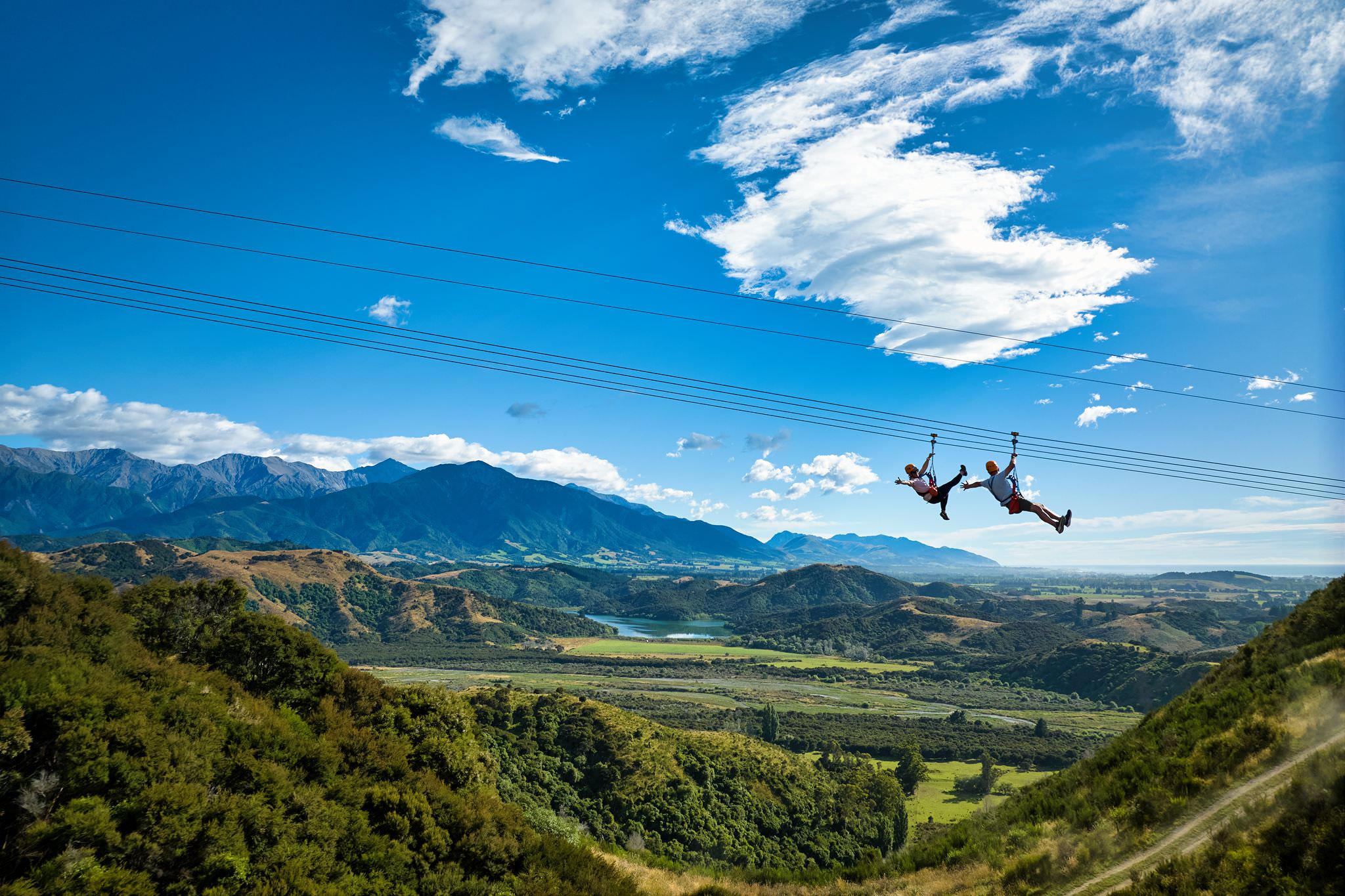 Kaikōura Ziplining & Native Forest Trail | See and Do NZ