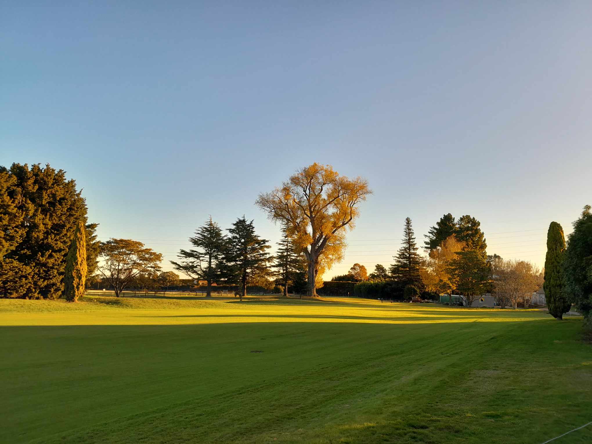 Napier Golf Club - A Historic Gem | See and Do NZ