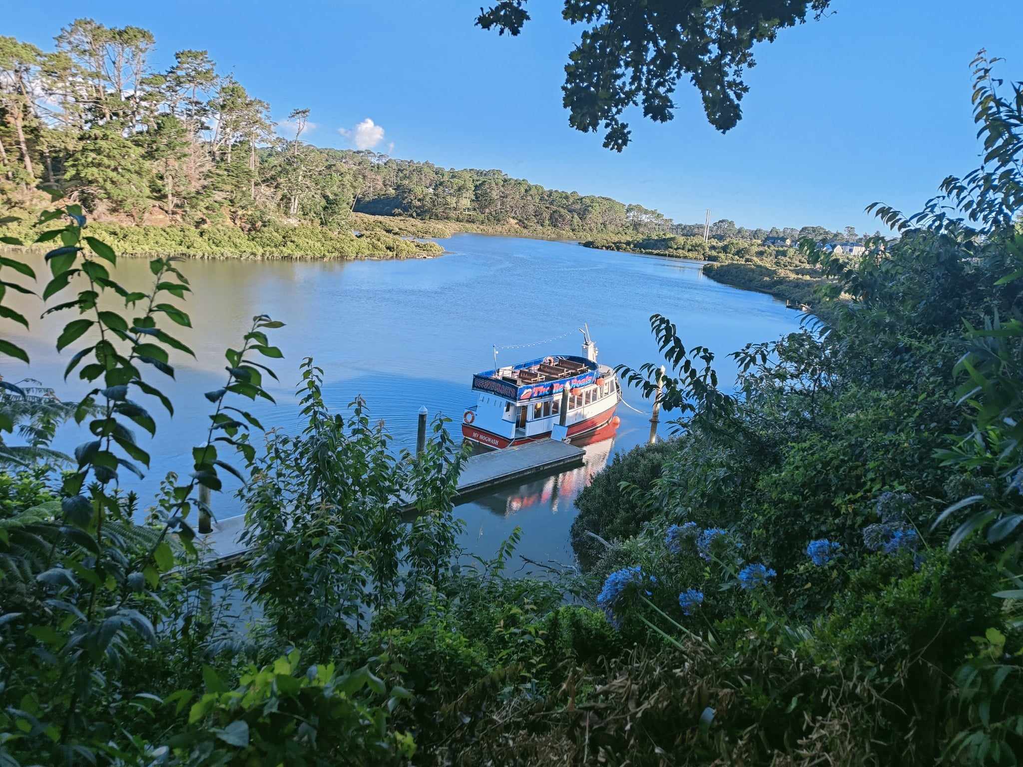 Enjoy Riverhead Cruise | See and Do NZ
