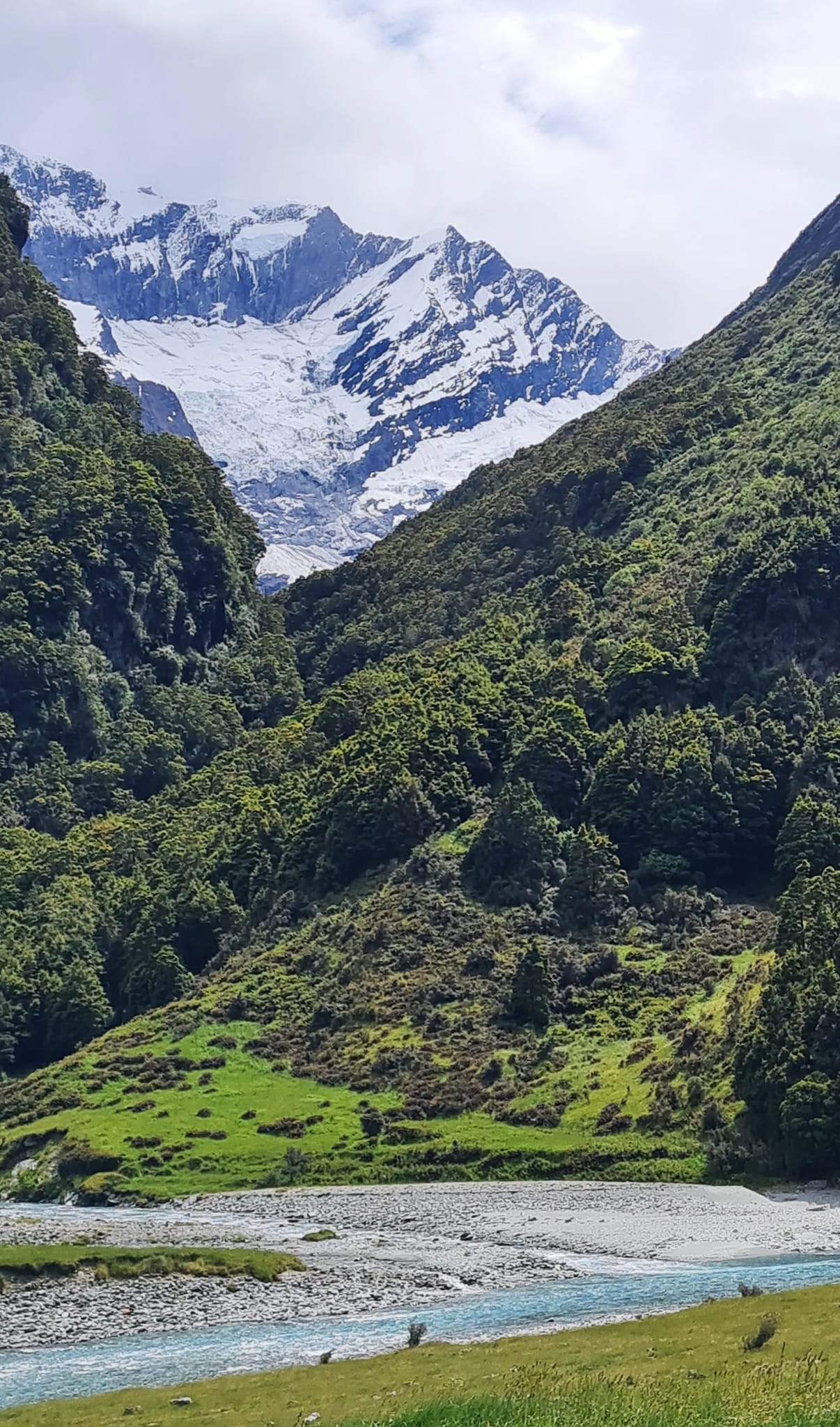 Rob Roy Glacier Hike | See and Do NZ