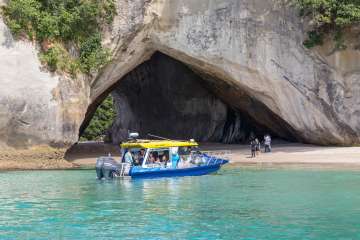 Cathedral Cove Glass Bottom Boat | See and Do New Zealand