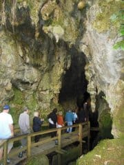Best Caving Activities in New Zealand | See and Do NZ