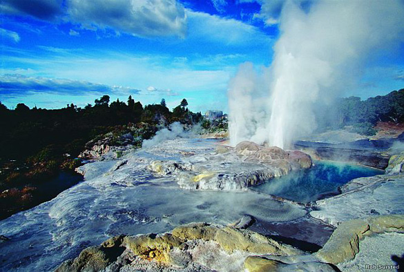 Waitomo Glow Worm Caves & Te Puia - Rotorua's Geothermal Valley | See ...