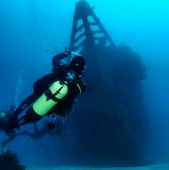 Rainbow Warrior and Reef Dive | See and Do New Zealand