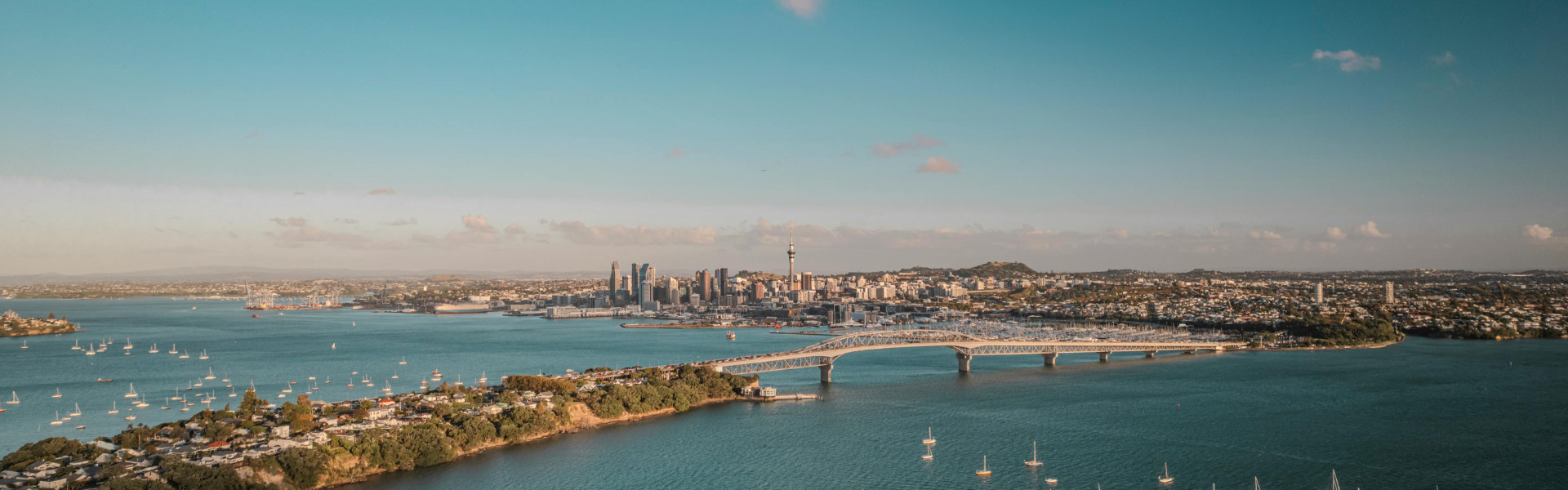 The Best Things to Do in Auckland for Young Adults