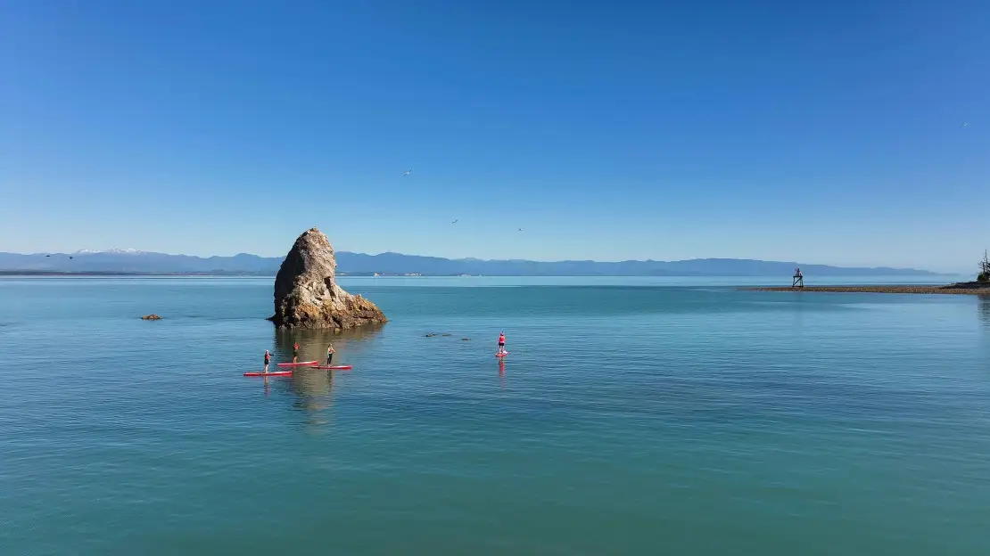Nelson Paddleboard & Kayak Hire | See and Do NZ