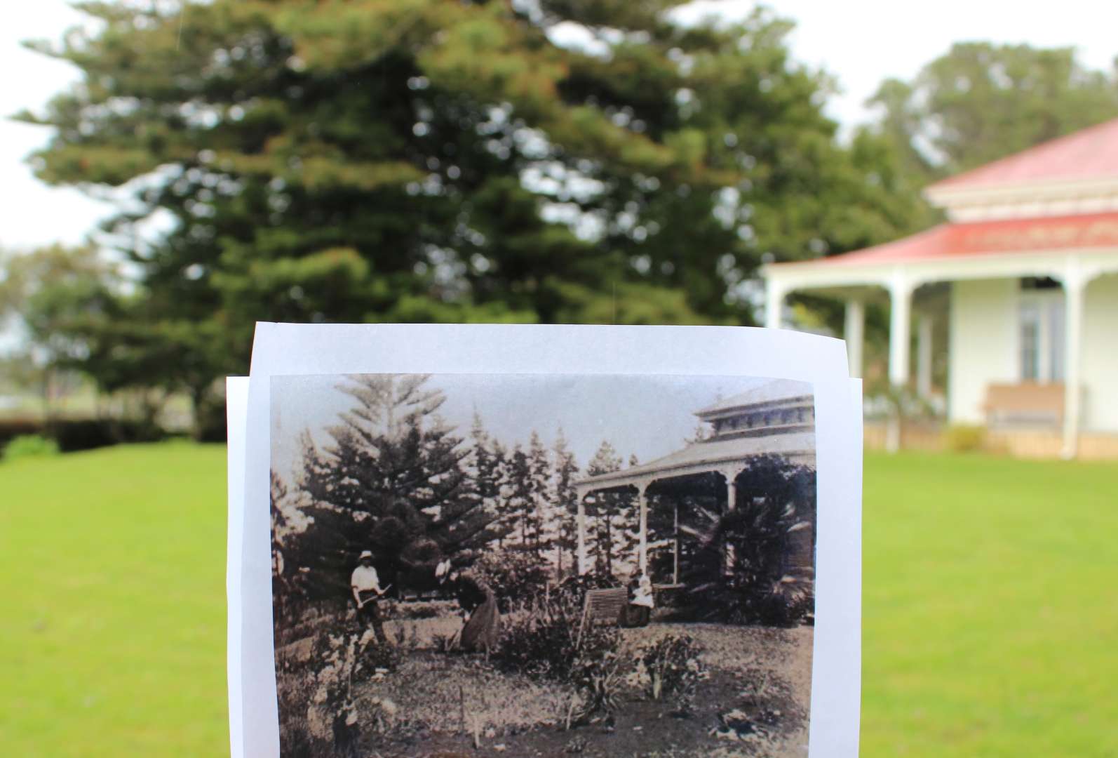 Kiwi North: Whangarei Museum, Kiwi House & Heritage Park | See and Do NZ