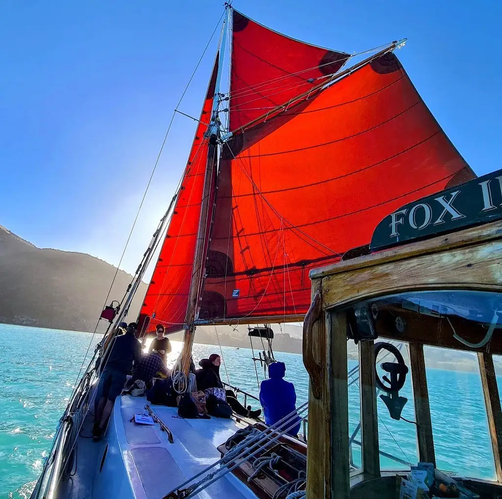 Sailing with Dolphins in Akaroa | See and Do NZ