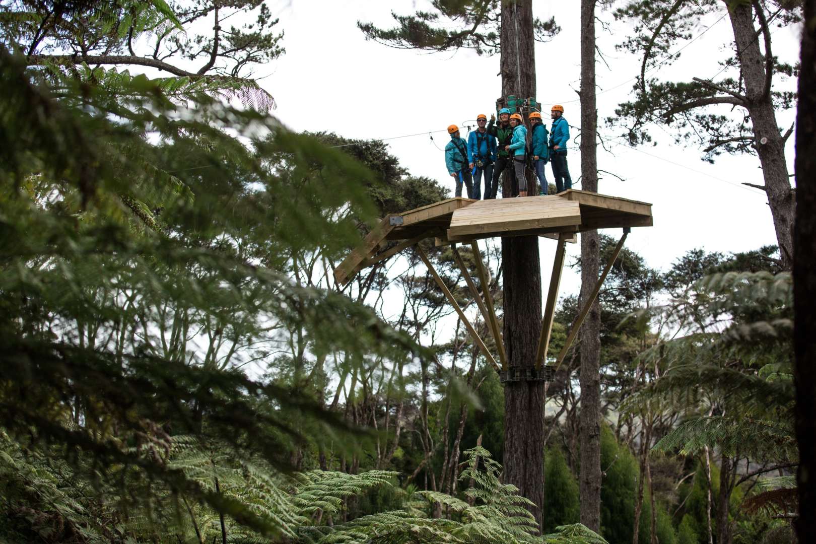 Enjoy Coromandel Zipline Tour | See and Do NZ