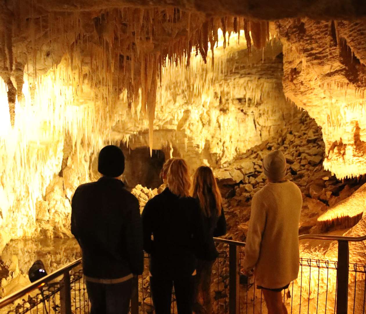 Waitomo Glow Worm Caves Day Tour | See and Do NZ