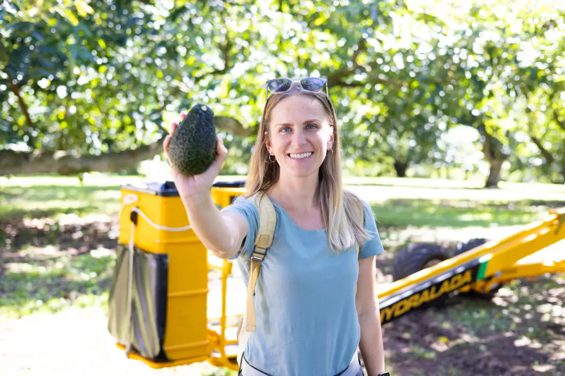 Enjoy Avocado Adventure Tour | See and Do NZ