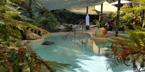 Things To Do in Glacier Country | See and Do NZ.