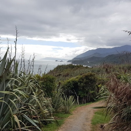 Things To Do in Greymouth | See and Do NZ