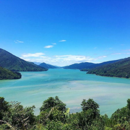 Things To Do in Pelorus Bridge, Marlborough, South Island | See and Do NZ