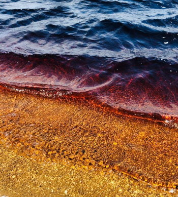 Best things to see and do in Doubtless Bay | See and Do NZ.