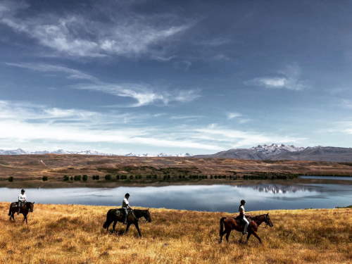 Best Horse Riding Treks throughout New Zealand |See and Do NZ