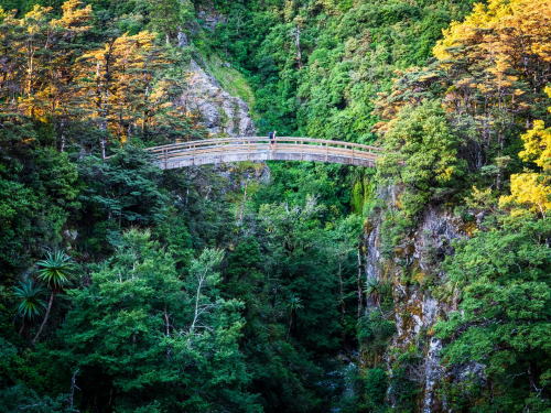 Things To Do in Manawatu | See and Do NZ