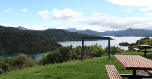 Things To Do in Picton | See and Do NZ