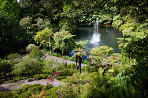 Things To Do in Taranaki | See and Do NZ