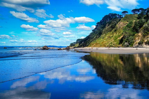 Things To Do in Te Puke | See and Do NZ.
