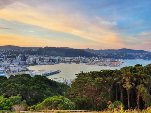 Things To Do in the Wellington Region | See and Do NZ.