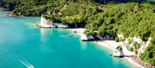 Things To Do in West Auckland | See and Do NZ