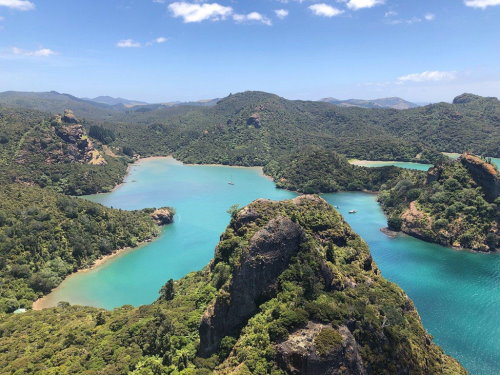 Things To Do in Whangaroa | See and Do NZ